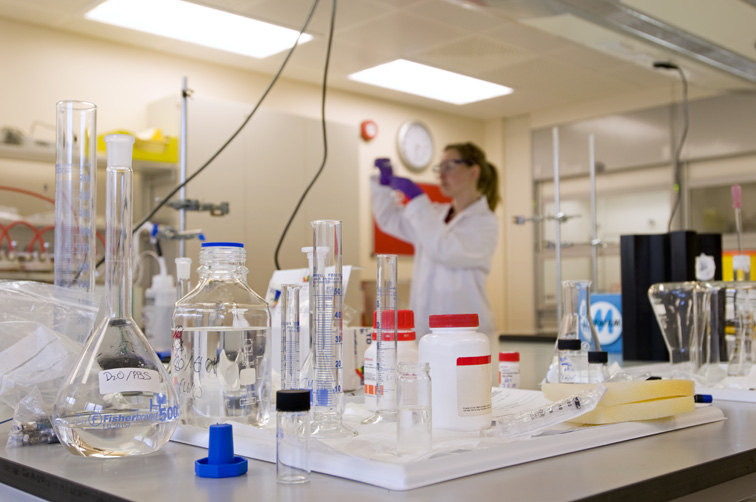 ISIS Experimental Support and Sample Environment