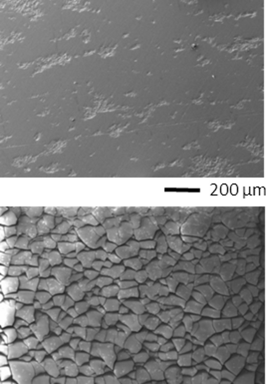 ISIS ISIS User wins prestigious prize for glass research