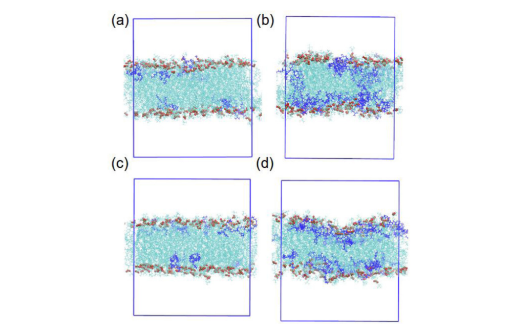 Your Parcel Has Been Delivered Rna Lipid Nanoparticle | ISIS