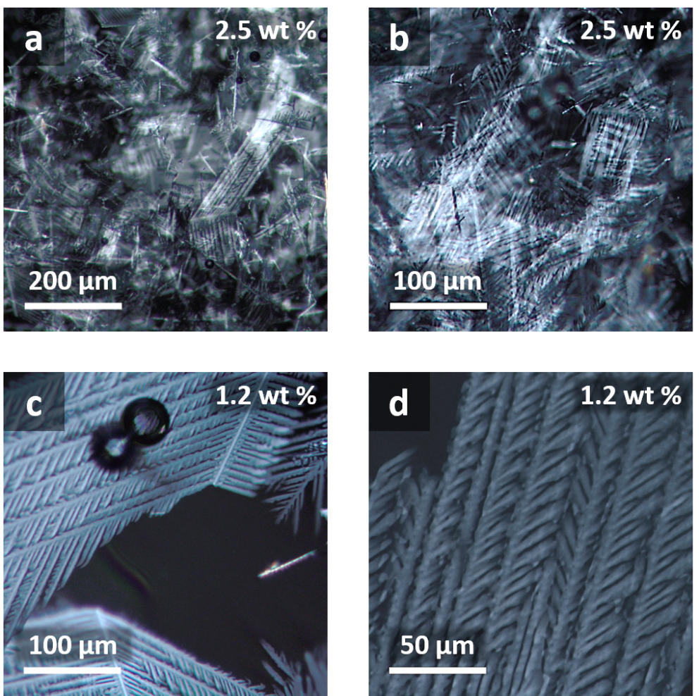 Self Assembling Surfactants Organise into Fractal Formations